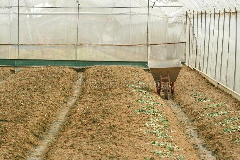 Farm and wheel barrow stock image. Image of ground, wheel - 8059895