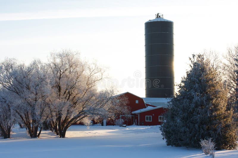 Wisconsin Dairy Farm in the Winter Stock Photo - Image of barn, farm ...