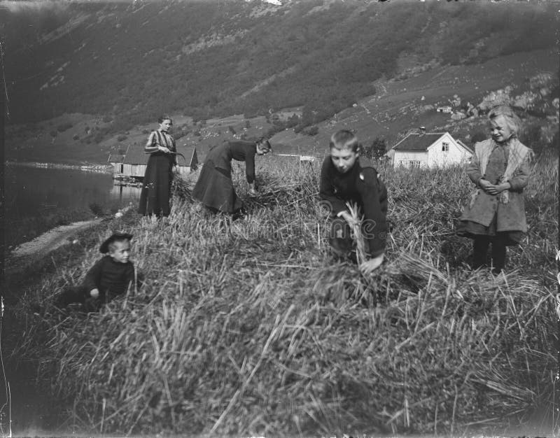 Farm Work Picture. Image: 221394899