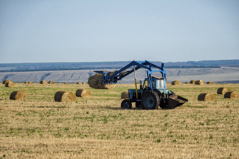 Farm Work in Autumn on the Field Stock Photo - Image of crop, horizon ...