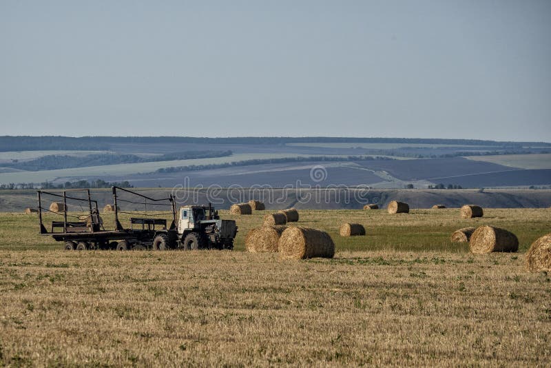 Farm Work in Autumn on the Field Stock Photo - Image of cultivate ...
