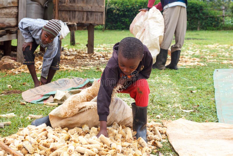 Farm work editorial photo. Image of sack, laborer, grain - 64189846