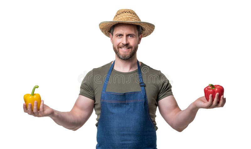 Farm Worker in Apron and Hat with Sweet Pepper Vegetable Isolated on ...