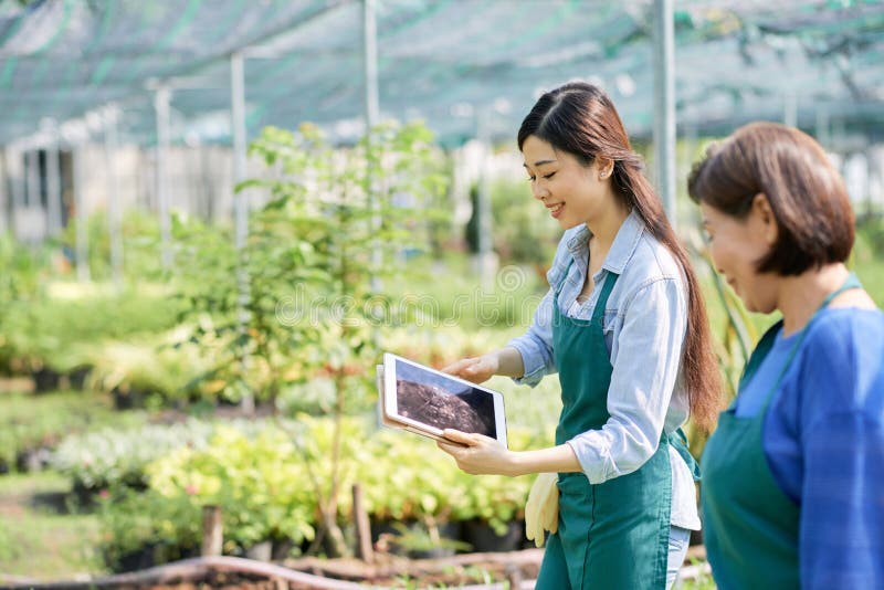 Farm Workers Reading Instructions Stock Photo - Image of outdoor ...