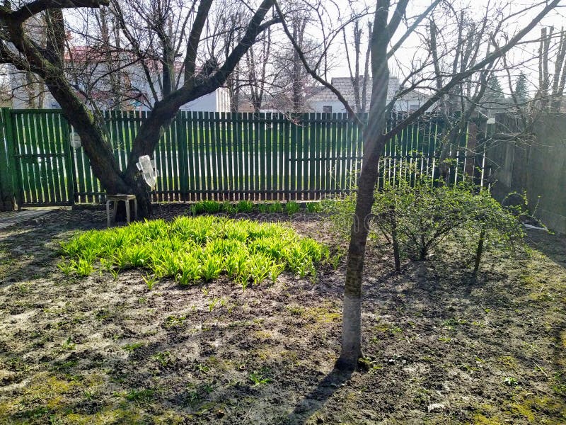 Farm Yard in Rural Countryside at Sunny Spring Day Stock Image - Image ...