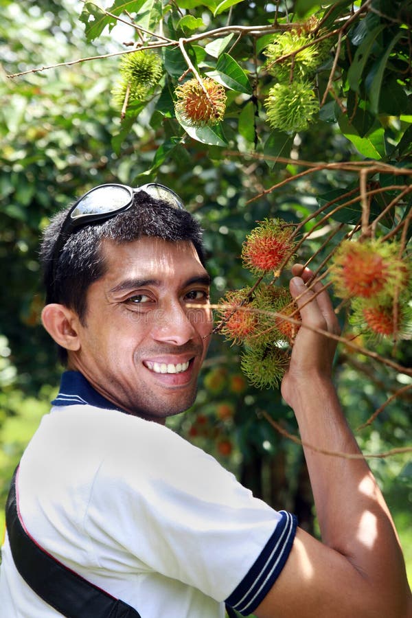 Farmer stock photo. Image of glad, rambutan, high, happy - 12811852