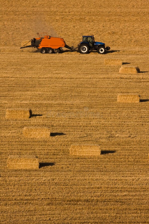 4,008 Farmer Shadow Stock Photos - Free & Royalty-Free Stock Photos ...