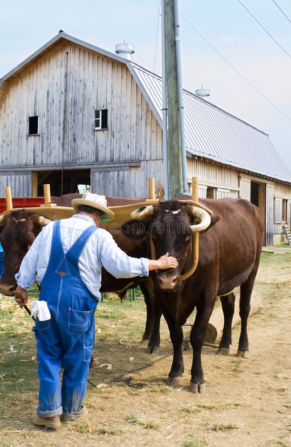 Farmer stock photo. Image of rural, midwest, clothes, farmland - 3165576