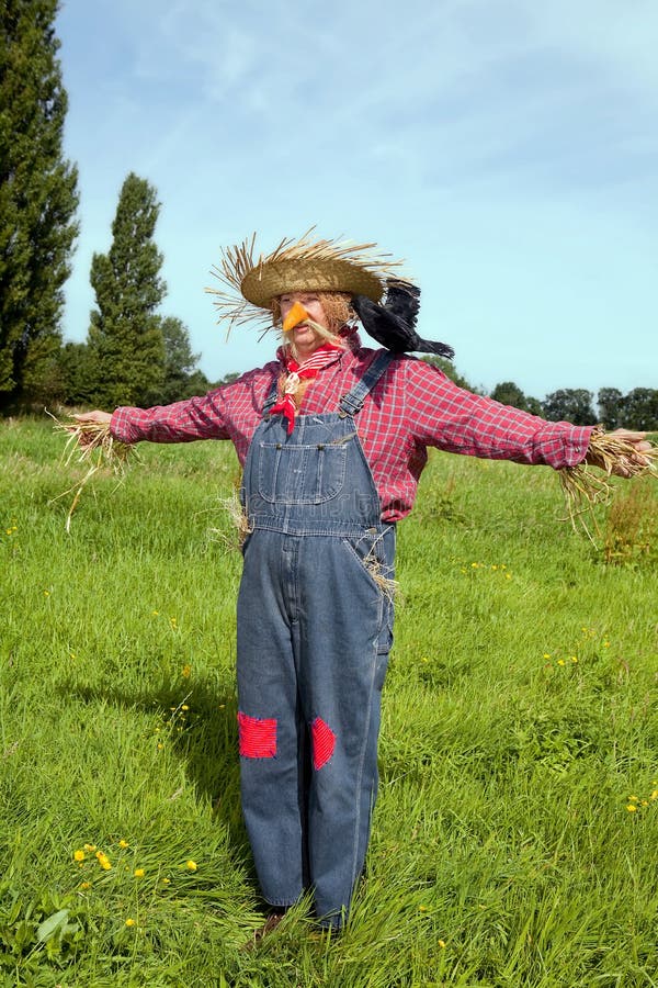 Farmer acting as scarecrow stock photo. Image of grass - 10327364
