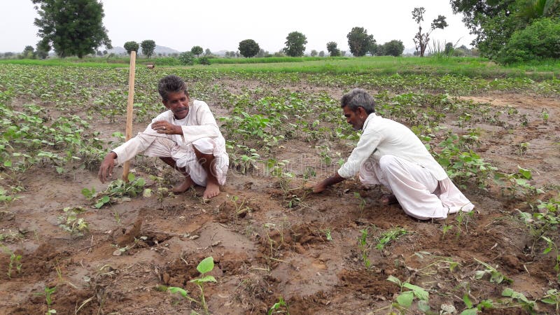 Farmer editorial photo. Image of working, agriculture - 75224081