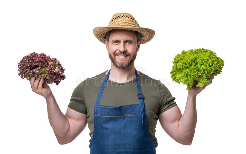 Farmer in Apron and Hat with Fresh Lettuce Vegetable Isolated on White ...
