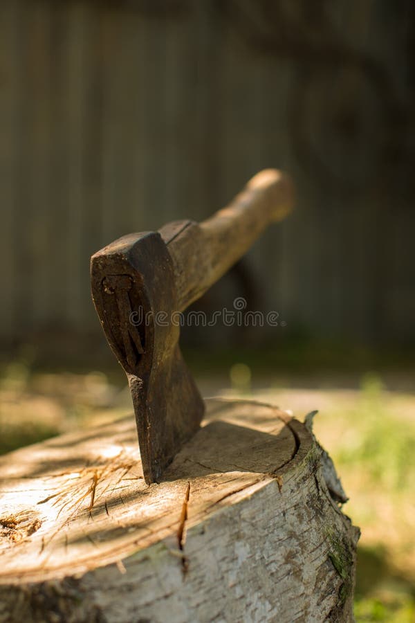 Farmer axe stock photo. Image of farm, wood, steel, detail - 96155114
