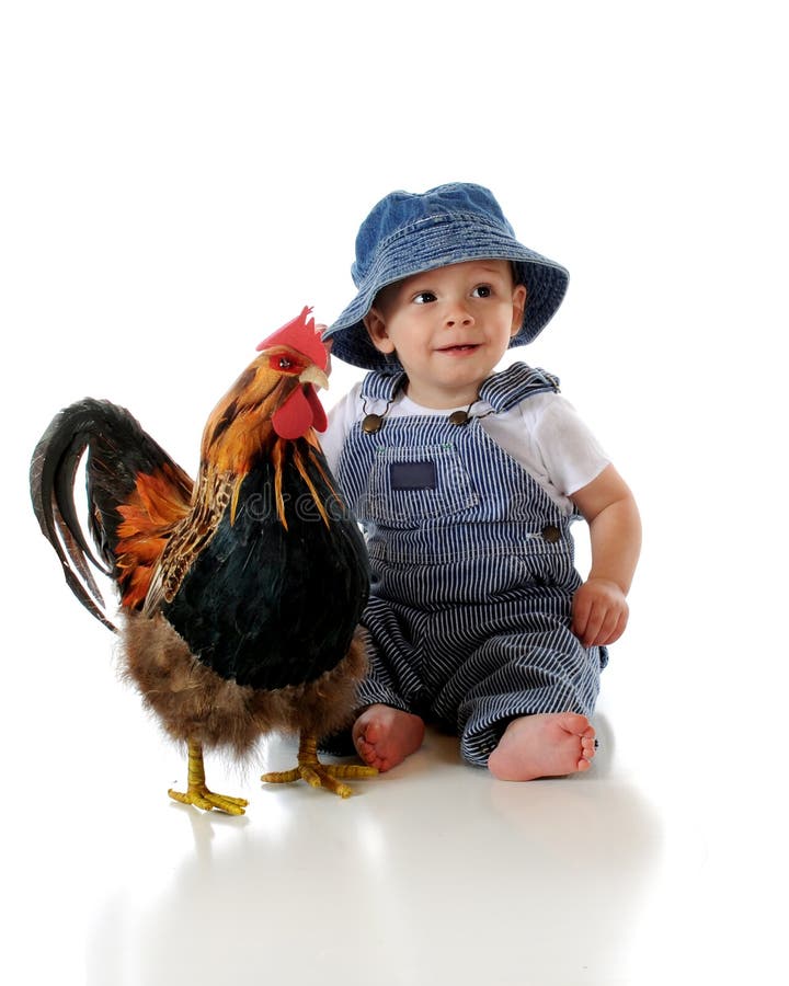 Farmer Baby stock photo. Image of young, bird, isolated - 9688342