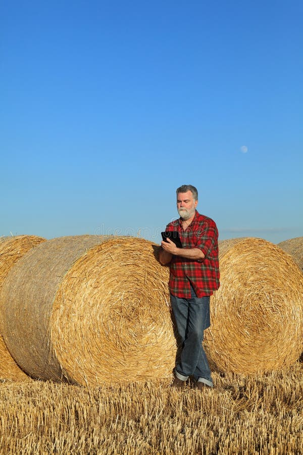 Farmer and Bale of Straw in Field Stock Photo - Image of harvest ...