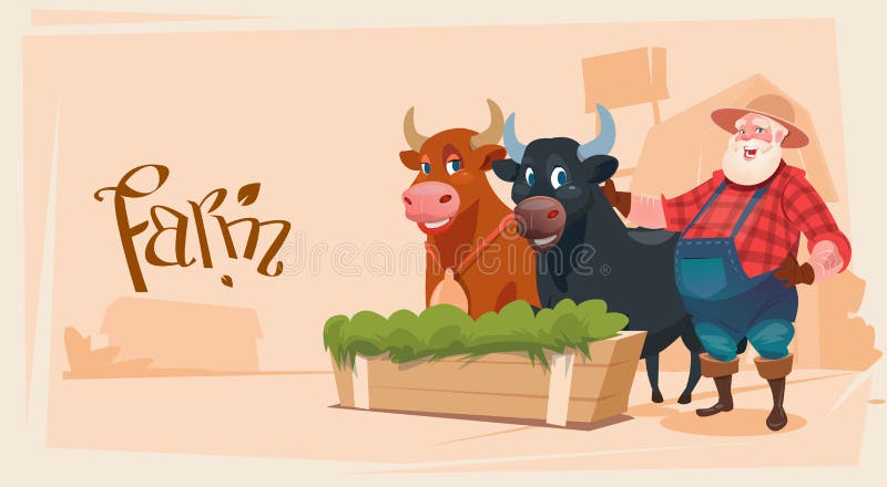 Breeding Animals Farmland. Farm Profession Worker People Breeding ...