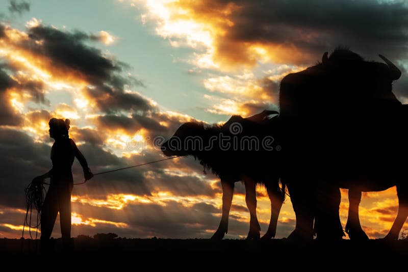 4,008 Farmer Shadow Stock Photos - Free & Royalty-Free Stock Photos ...