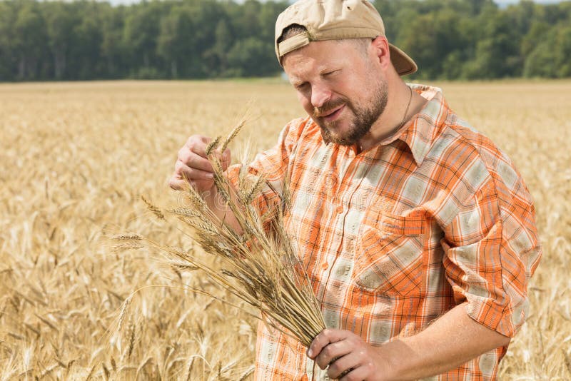 Farmer in Cap Standing at Field Stock Photo - Image of country, rural ...
