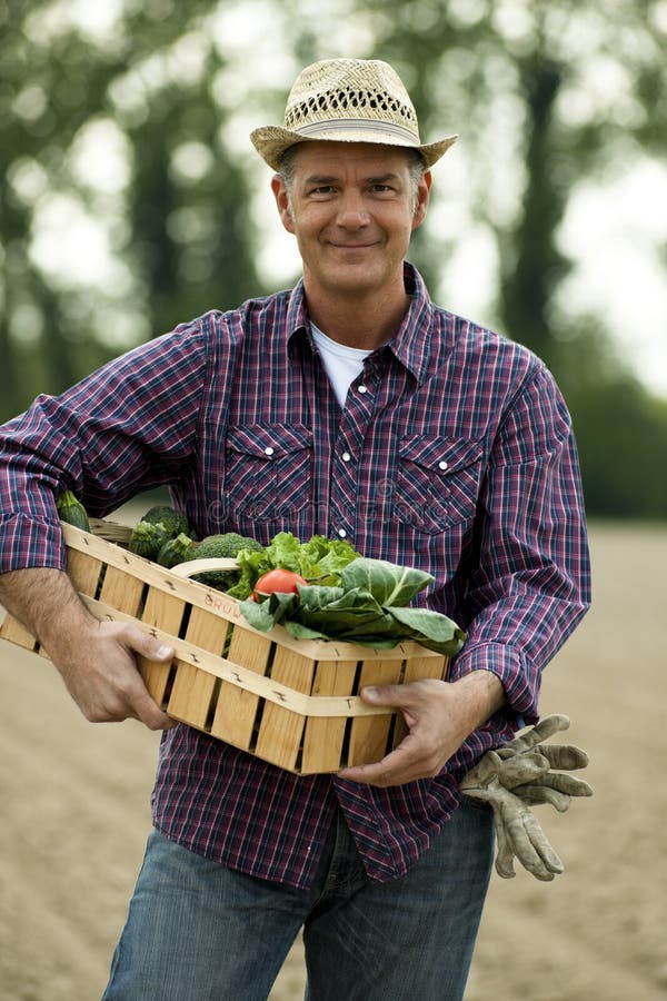 Farmer Carrying a Crate of Vegetables Stock Image - Image of crop ...