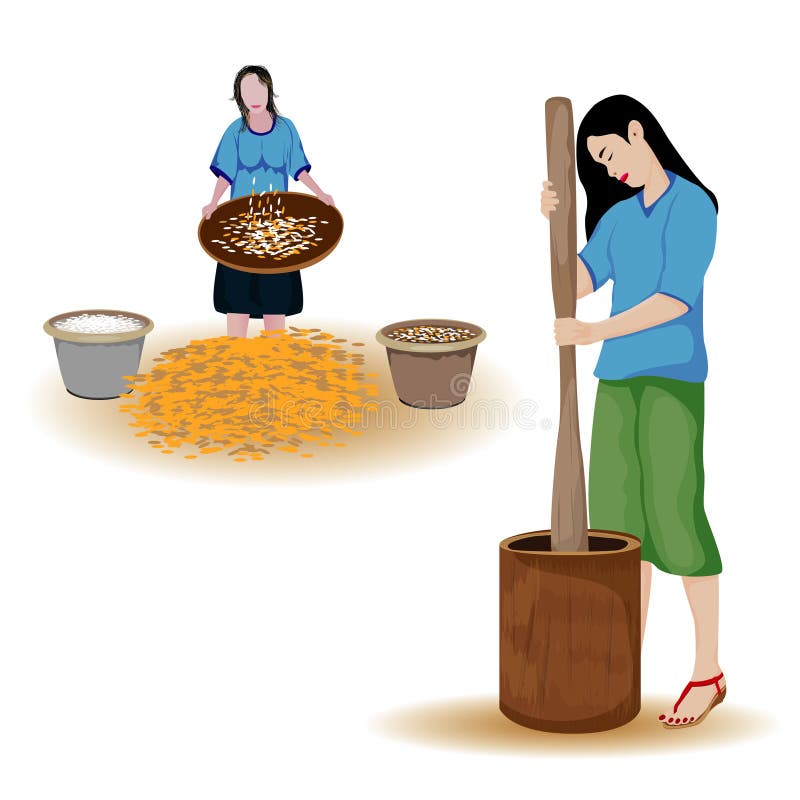 Winnow Rice Stock Illustrations – 7 Winnow Rice Stock Illustrations ...
