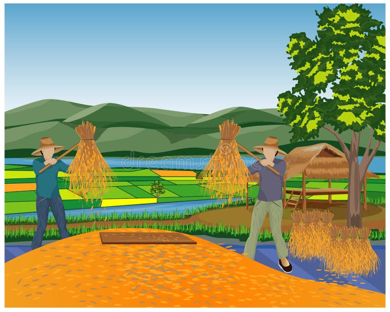 Farmer Cartoon Shape Work in Paddy Field Stock Vector - Illustration of ...