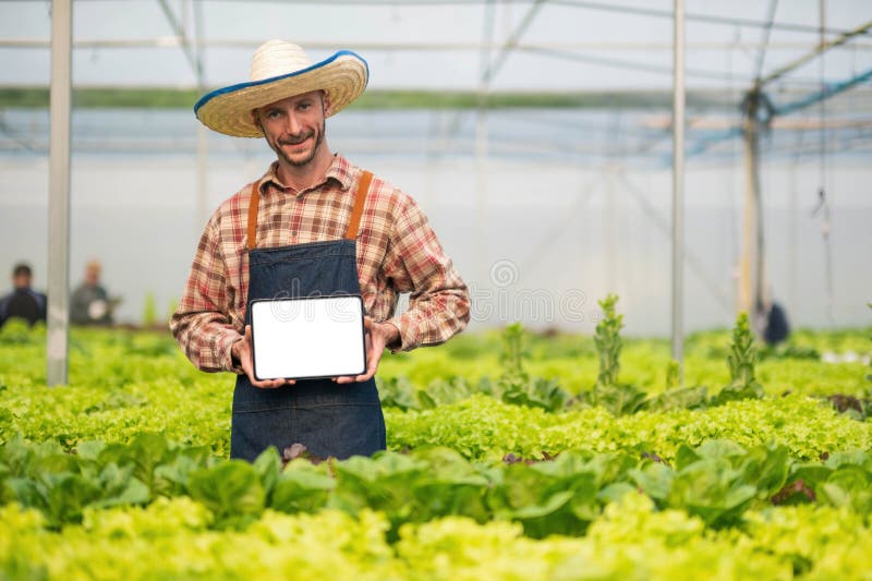 Farmer Checking Quality by Table Blank Screen Agriculture Modern ...