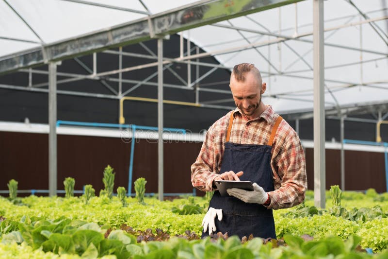 Farmer Checking Quality by Tablet Agriculture Modern Technology ...