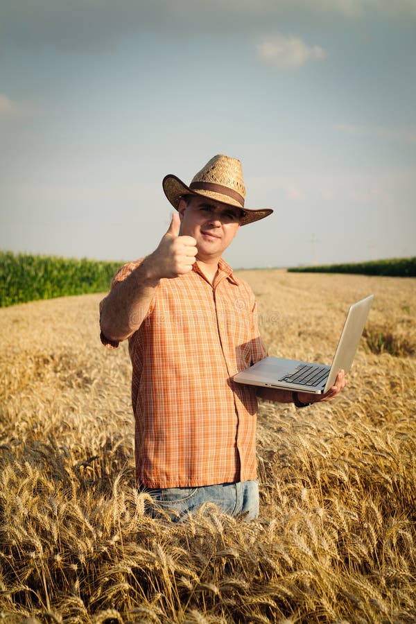 Farmer Checks the Wheat Grain in the Field Stock Image - Image of ...
