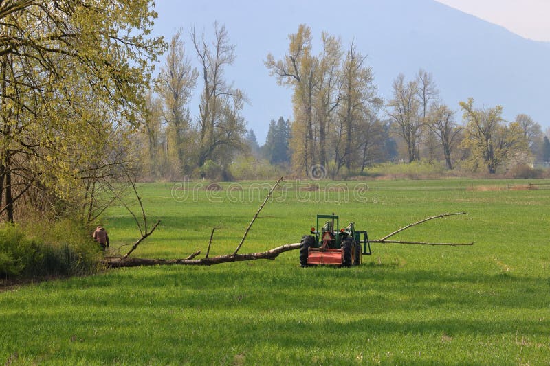 Farmer Clearing Land stock photo. Image of grassland - 323826754