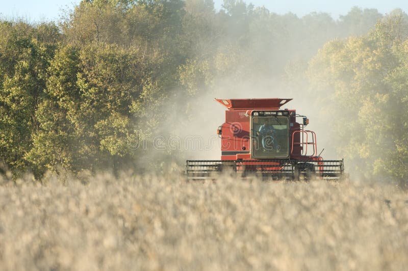 A Farmer Combines a Field of Soybeans during the Harvest Stock Photo ...
