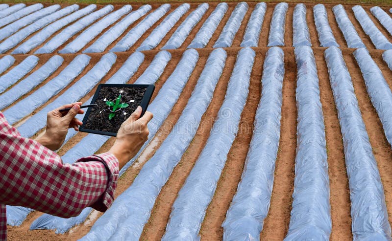 Farmer Control Tablet Technology Future Tree Care and Tree Stock Image ...