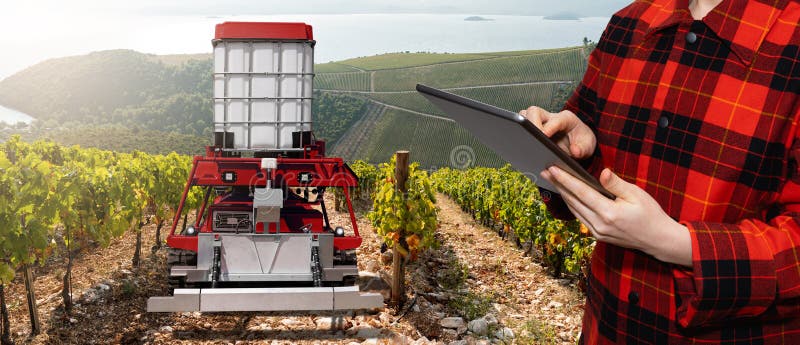 Farmer Controls Autonomous Robot Sprayer in a Vineyard. Stock Photo ...