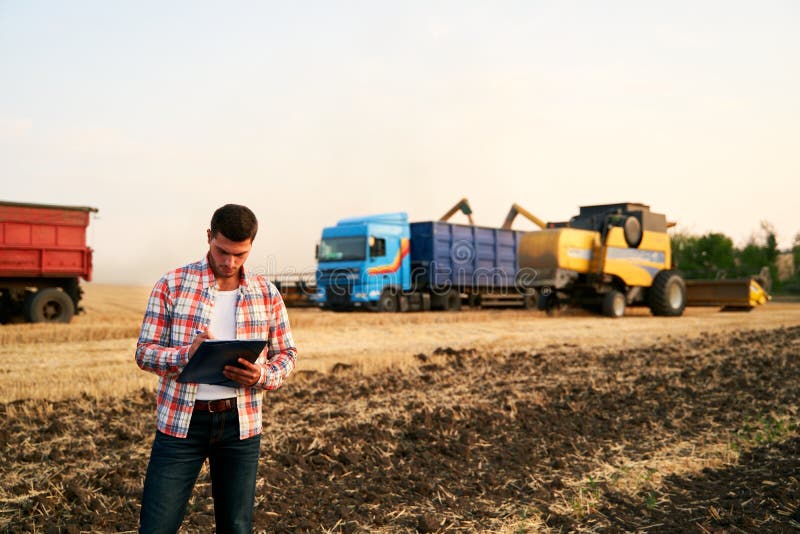 Farmer Controls Loading Wheat from Harvester To Grain Truck. Driver ...