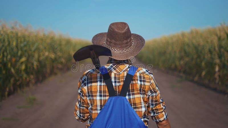 Farmer In A Corn Field A Worker In A Hat With A Shovel Walk On A Corn Field With His Back