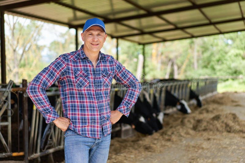 Farmer Cowboy at Cow Farm Ranch Stock Photo - Image of farmer, barn ...