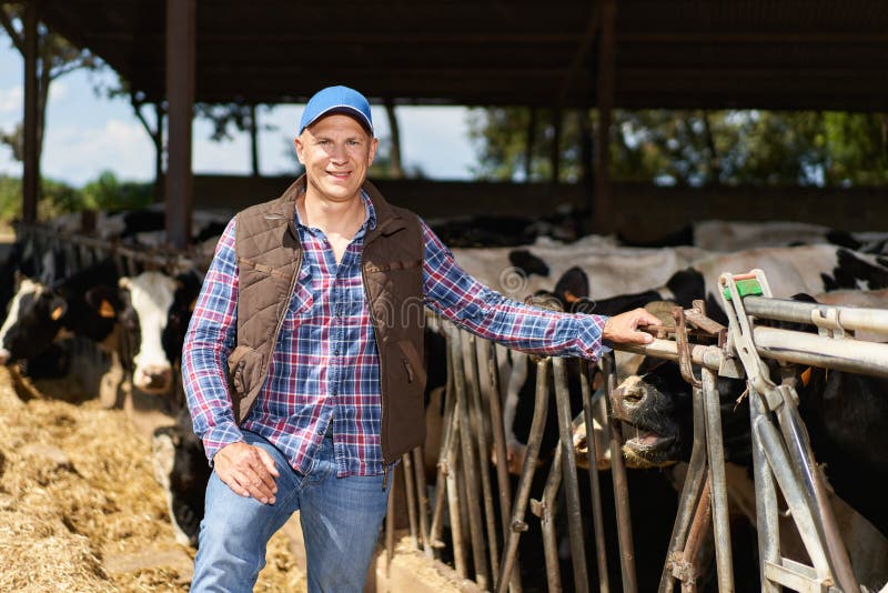 Farmer Cowboy at Cow Farm Ranch Stock Image - Image of animals, beef ...