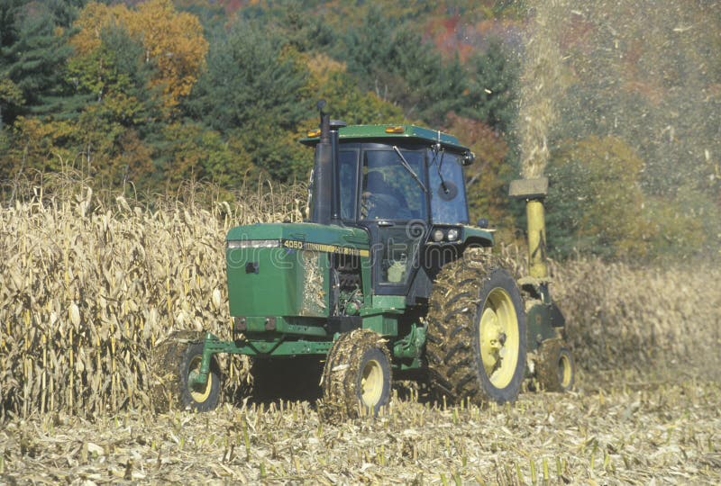 Farmer Cutting Corn with Tractor Editorial Stock Photo - Image of ...