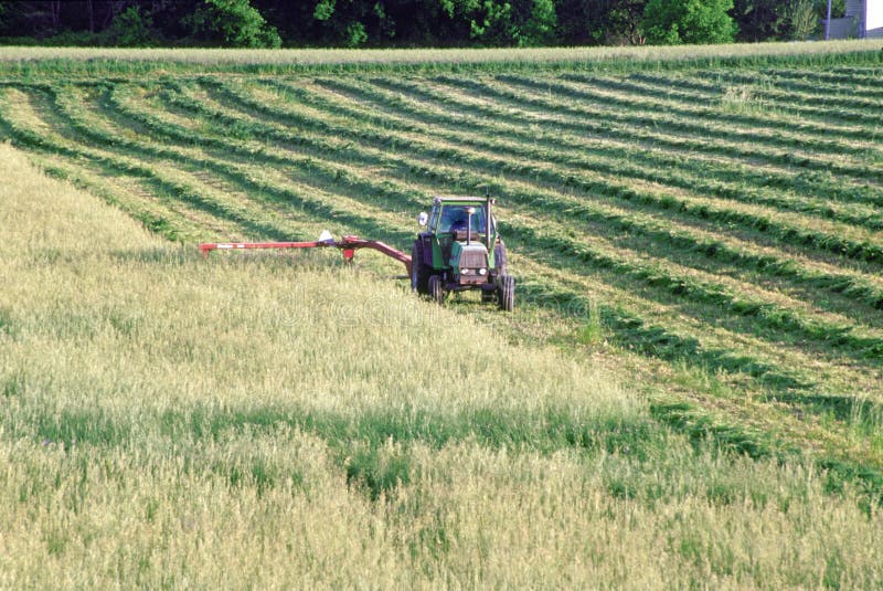 Farmer cutting field stock photo. Image of angled, commodities - 4562256
