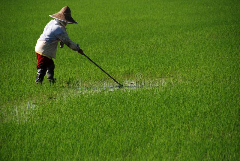Farmer cutting grass stock image. Image of farm, worker - 2375113