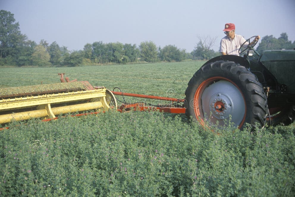 Farmer cutting hay field editorial photo. Image of bend - 26252811