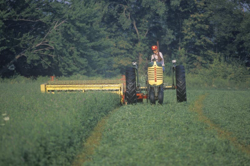 Farmer cutting hay field editorial photo. Image of mowing - 26252816