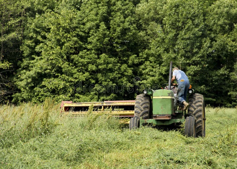Farmer cutting hay stock image. Image of woods, field - 32145625