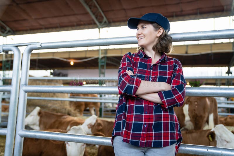 Farmer at a dairy farm stock photo. Image of summer - 280071022