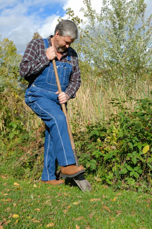 Farmer digging stock image. Image of lumberjack, face - 3866717