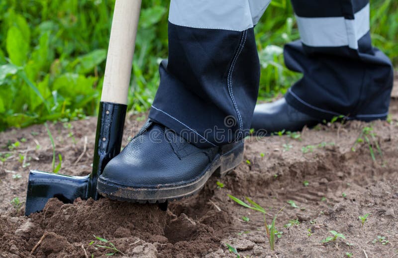 Farmer digging a garden stock photo. Image of black, outdoors - 55675450