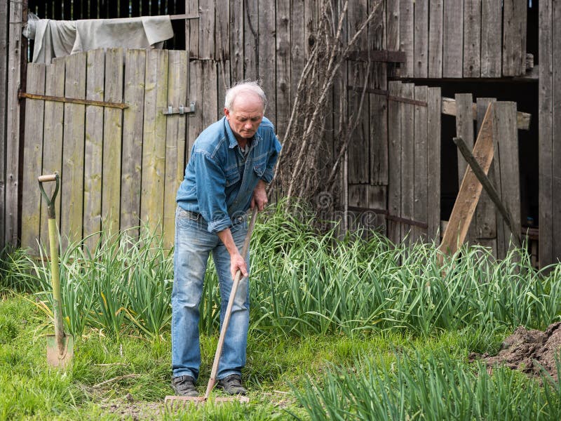 Male farmer digging stock image. Image of cultivation - 70189633