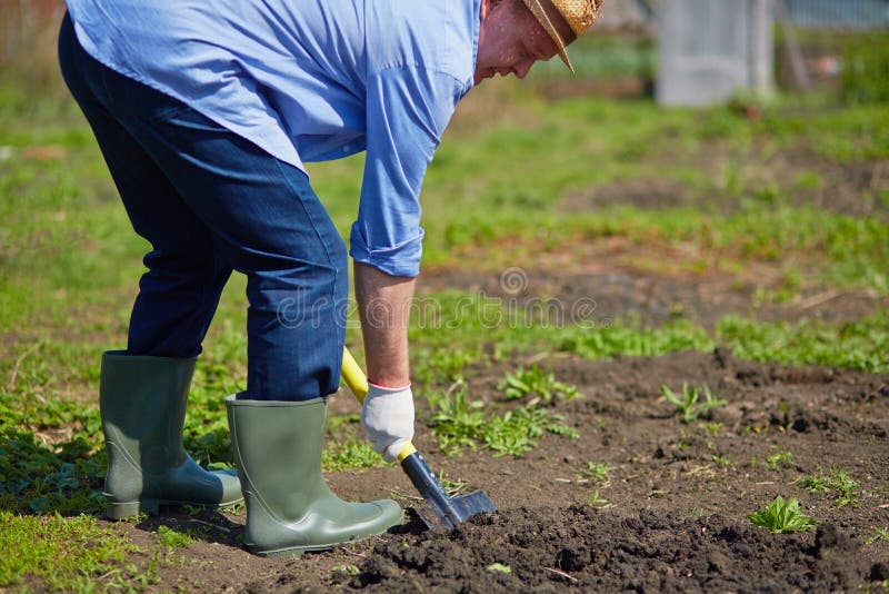 Farmer digging stock image. Image of instrument, gardener - 58734859