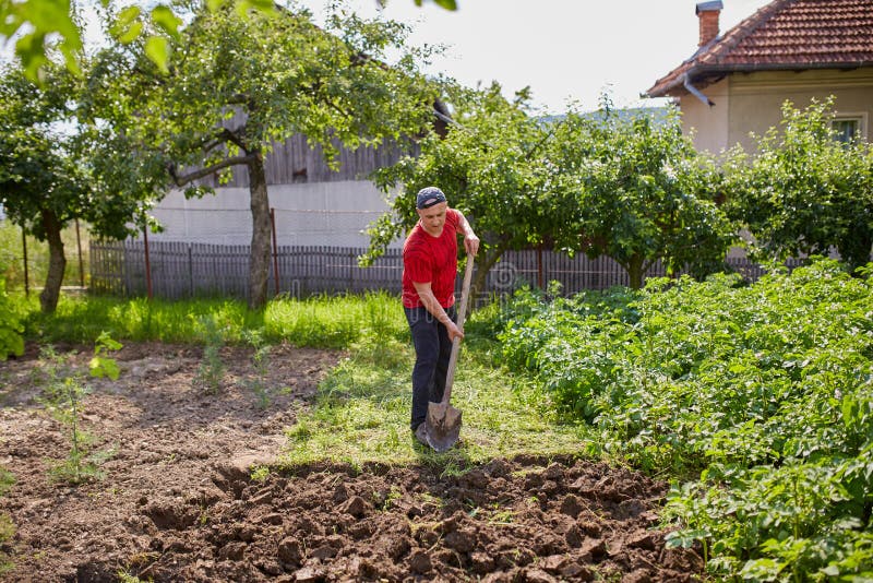 Farm Boy Digging with a Shovel Stock Photo - Image of alone, nature ...