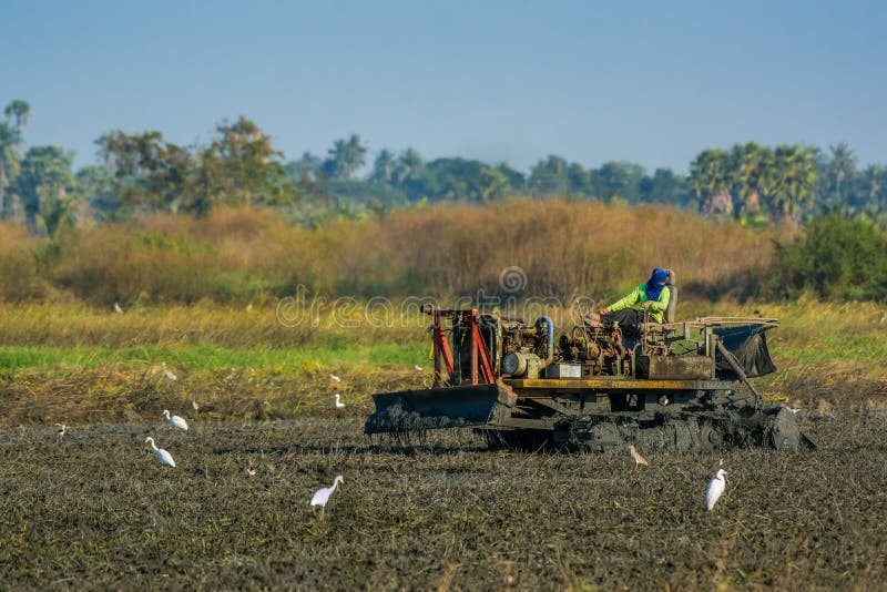 Farmer Driving Tractor in the Fields. Editorial Stock Photo - Image of ...
