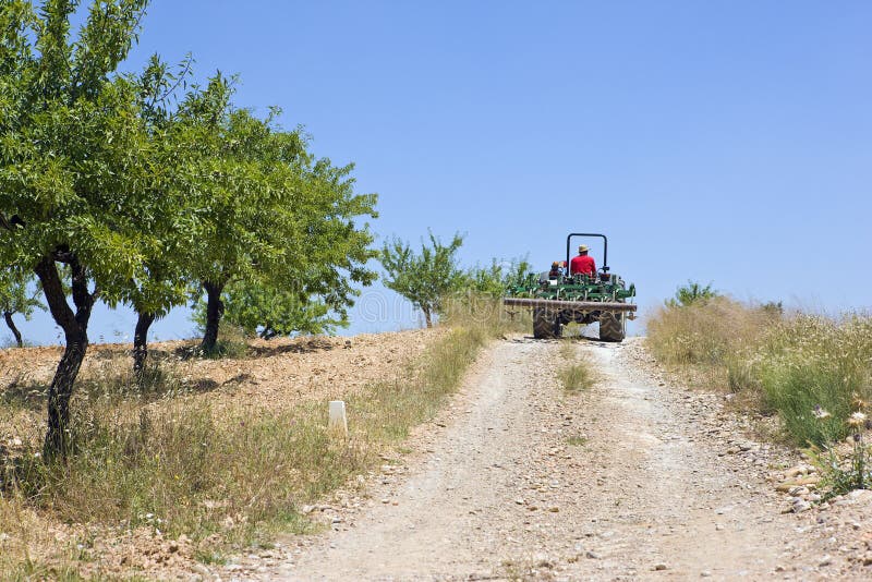 Farmer Driving Tractor on Hillside Stock Image - Image of horizontal ...
