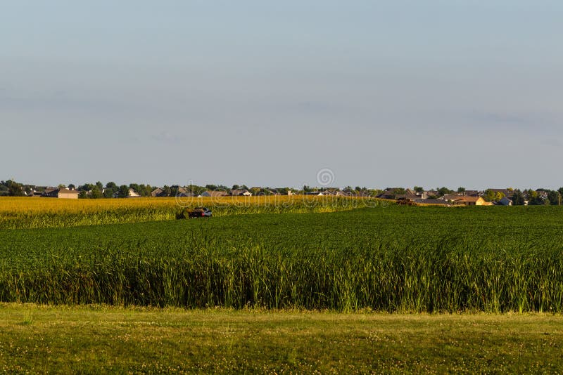 225 Driving Corn Fields Stock Photos - Free & Royalty-Free Stock Photos ...